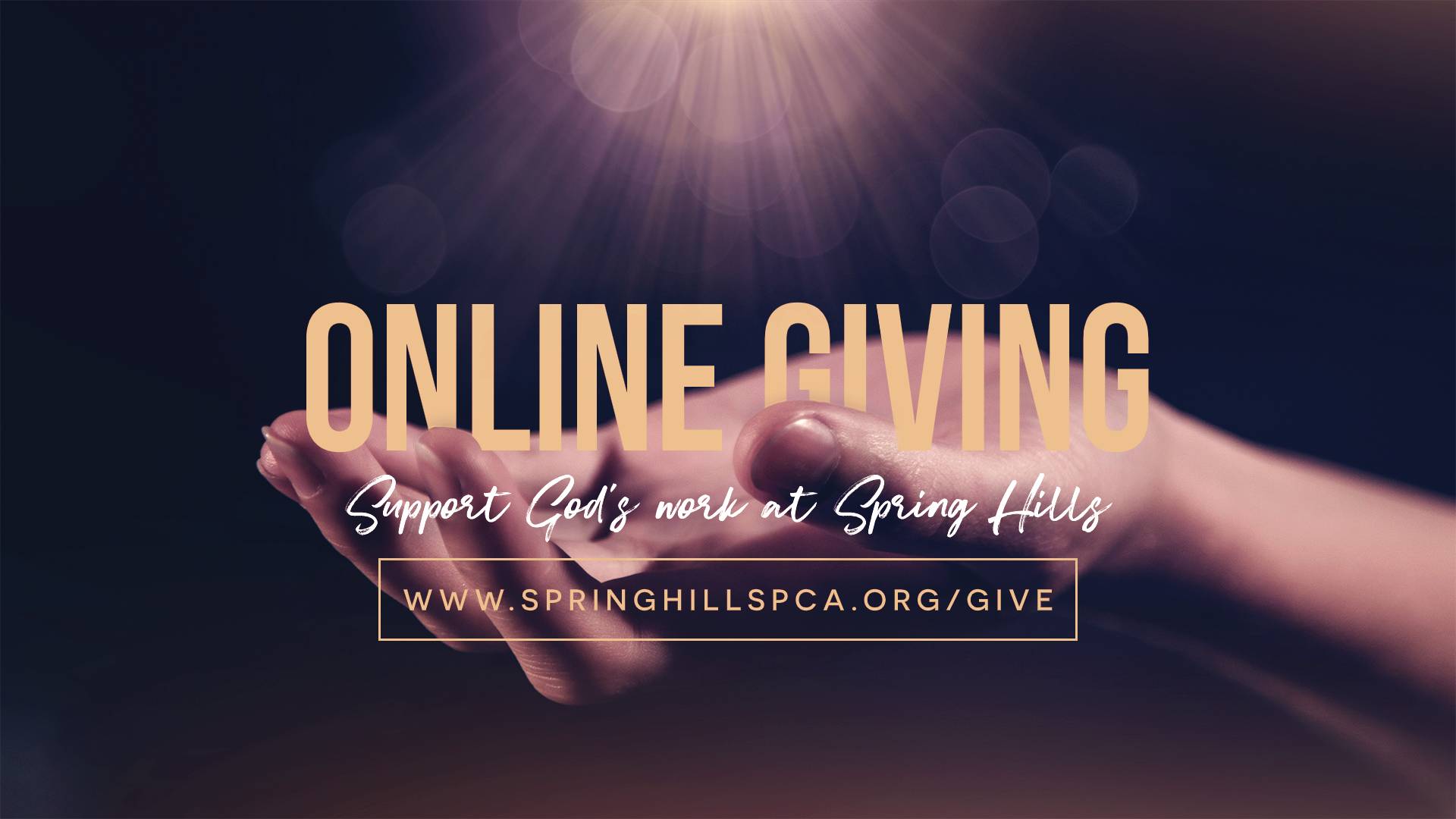 Give - Spring Hills Church