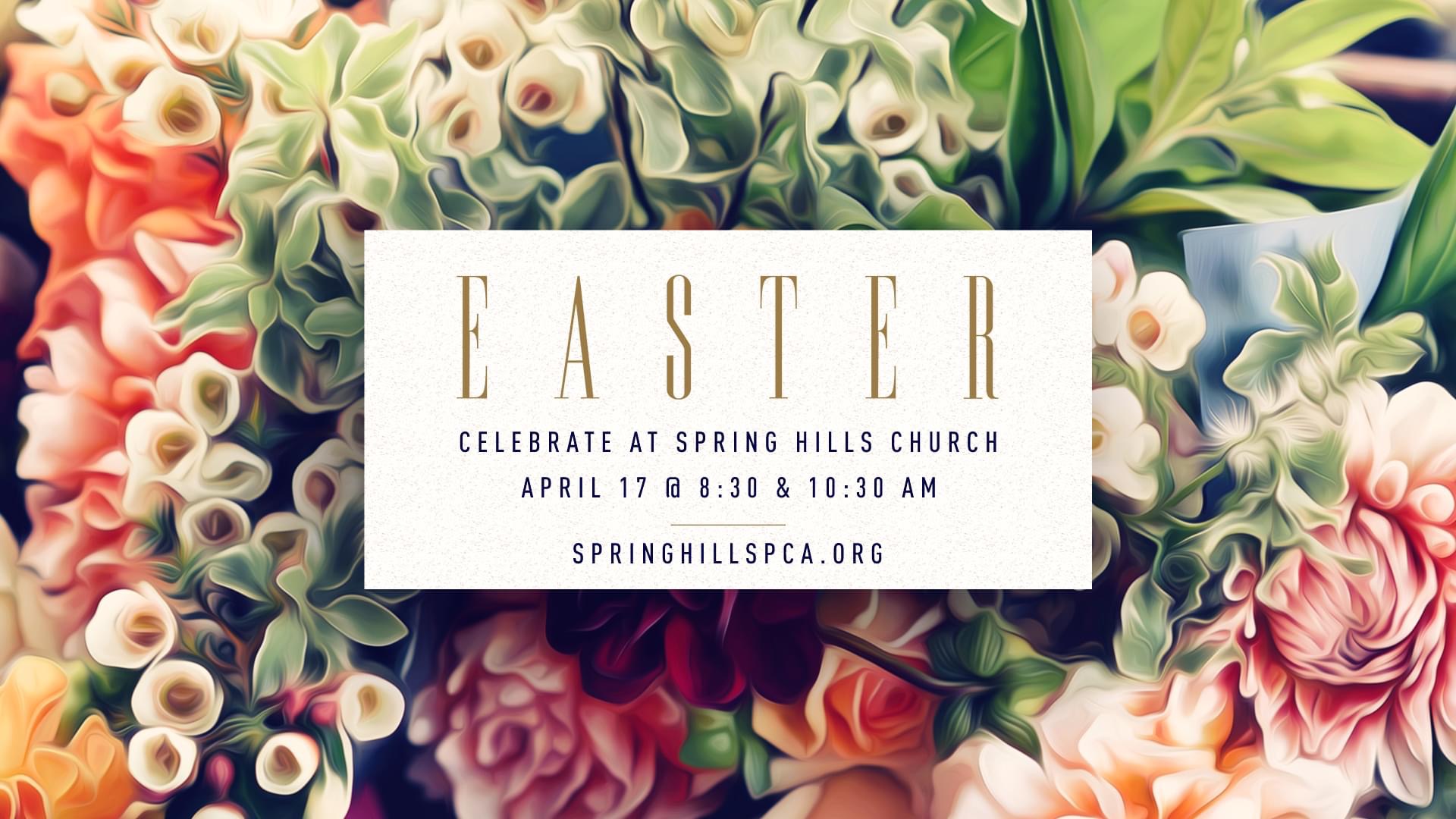 Home - Spring Hills Church